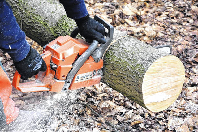 Firewood & Forest Products - Fort McCoy - iSportsman
