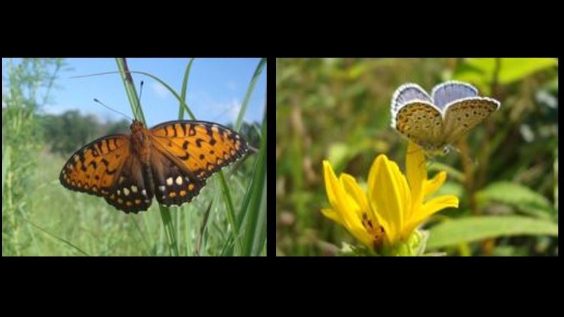 Home - Fort McCoy - iSportsman