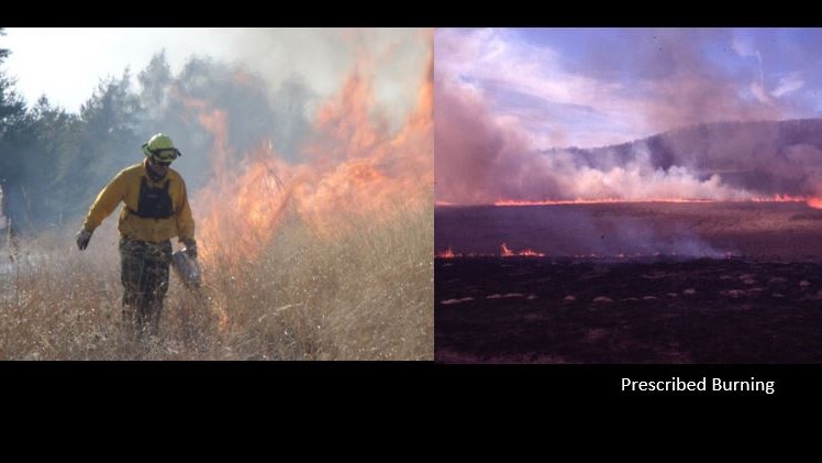 Home - Fort McCoy - iSportsman